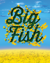 Big Fish - Theatrical Rights Worldwide