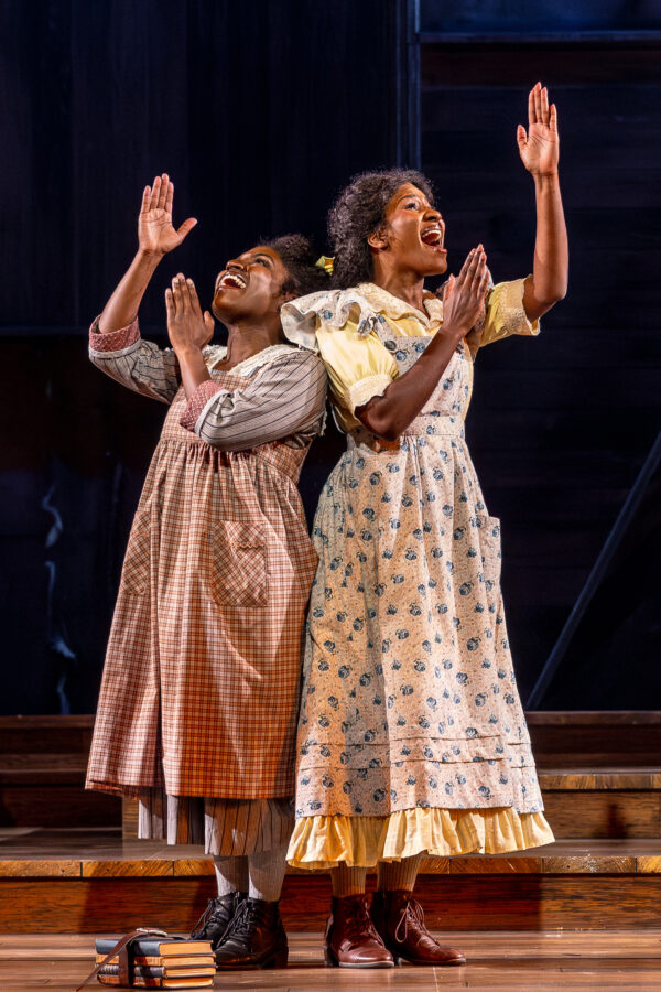 The Color Purple - Theatrical Rights Worldwide